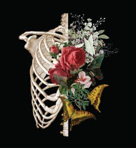 Homepage | Tulsa Library